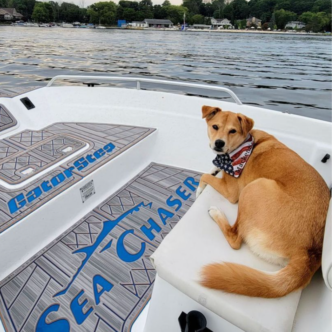 How to take instagram-worthy boating photos of your Sea Chaser